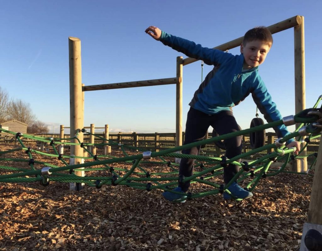 Today On The Farm – Windmill Animal Farm