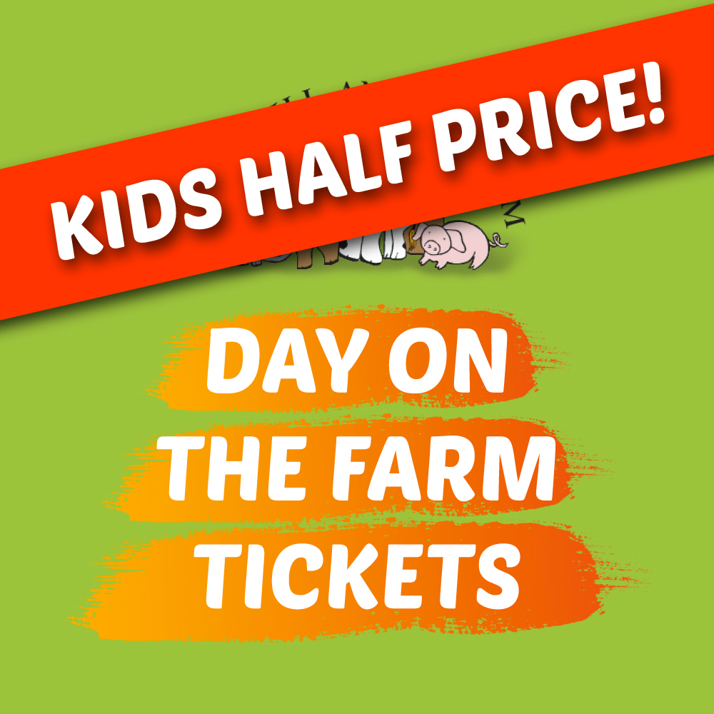 Day On The Farm Tickets(3rd June – 11th Oct) – Windmill Animal Farm