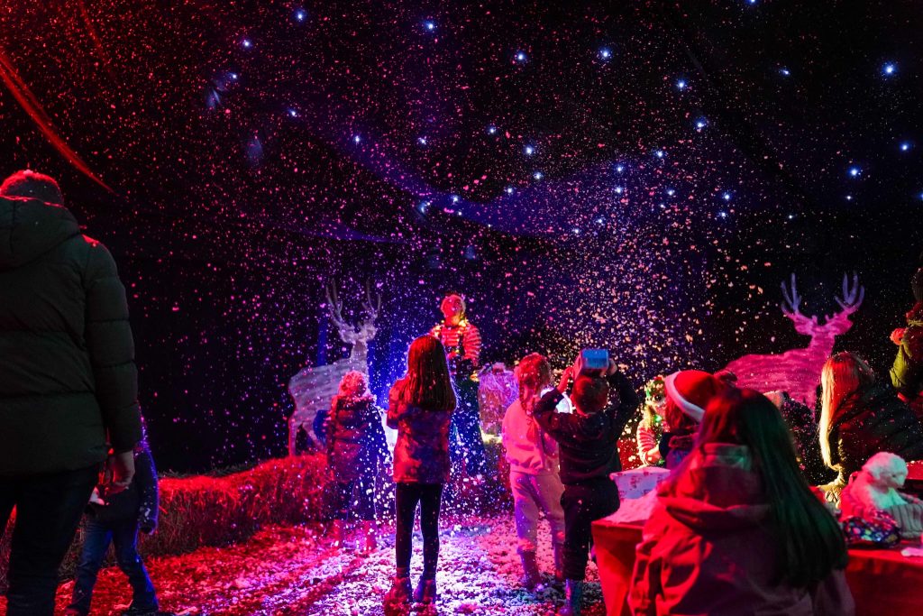 Upcoming Events – Windmill Animal Farm