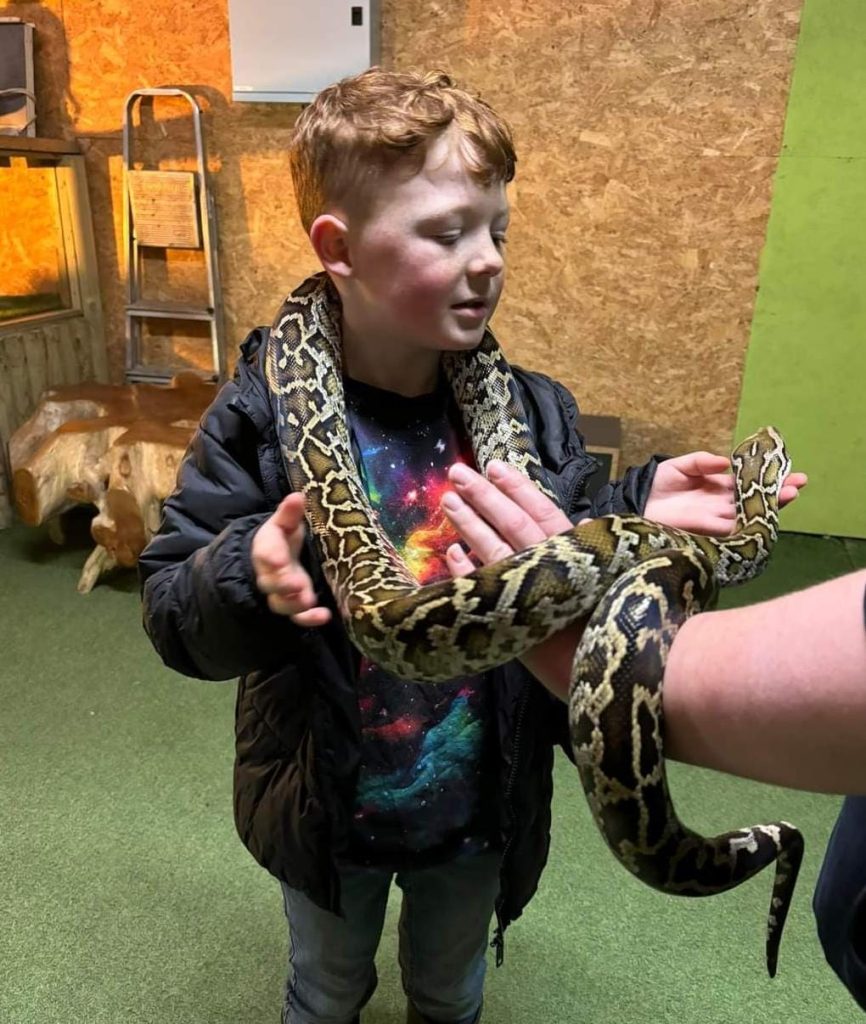 Today On The Farm – Windmill Animal Farm