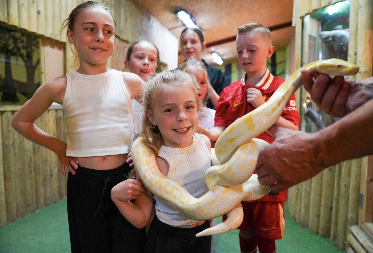 Today On The Farm – Windmill Animal Farm