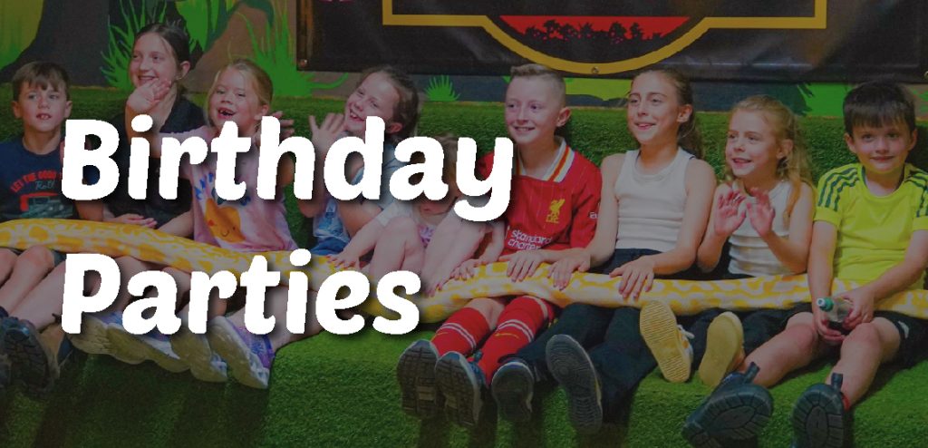 Windmill Animal Farm – A Great Family Day Out!