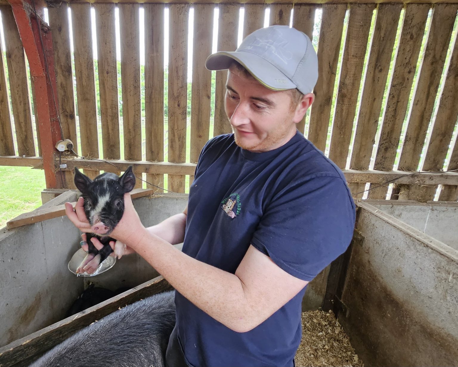 Windmill Animal Farm – A Great Family Day Out!