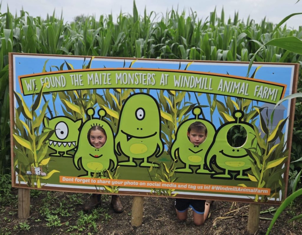 Today On The Farm – Windmill Animal Farm