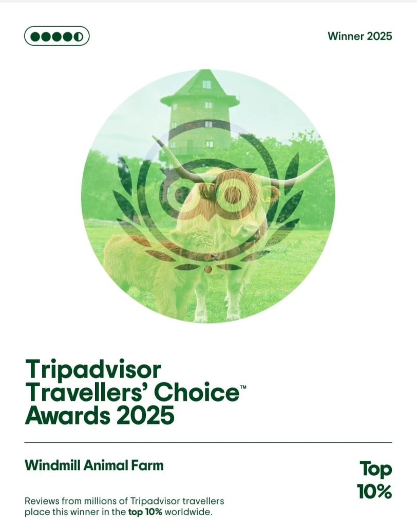 Windmill Animal Farm – A Great Family Day Out!